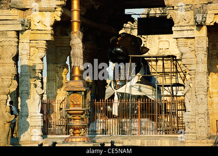 Single block of Granite Nandi 25 tonnes and 20 feet long in ...