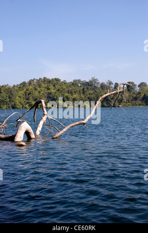 Yeak Laom Volcanic Lake is a major tourist destination in Ratanakiri ...