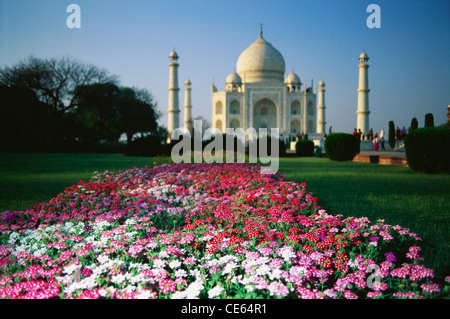Taj Mahal and the Mughal gardens of the Taj Mahal, Agra, Uttar Pradesh ...