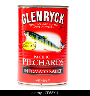 Pilchards tin fish tinned Glenryck pacific in tomato sauce cut out ...
