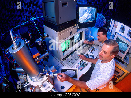 Technician scanning electron microscopes in laboratory Stock Photo - Alamy