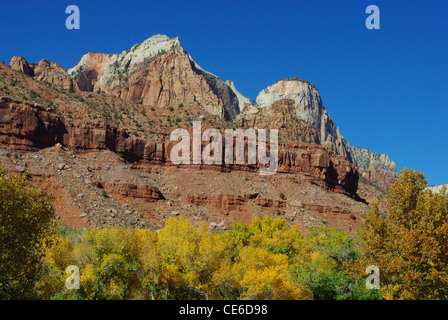 Autumn colors in Zion National Park Utah Stock Photo - Alamy