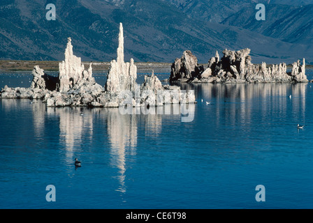 USA, California, Mono County, Lake Crowley, landscape Stock Photo - Alamy