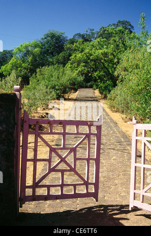 blue, tree, trees, hill, stone, bird, green, wood, brown, brownish ...