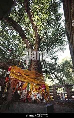 India, Bihar, Bodhgaya, Buddhism, big Buddha statue, head of figure ...