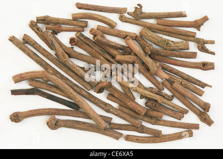 manjistha ; indian madder ; rubia cordifolia linn on white background ...