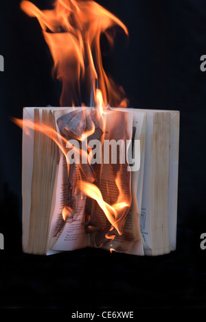 Open book is on fire, pages are engulfed in flames. Concept of ...