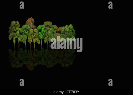 scale model Ash trees Stock Photo - Alamy