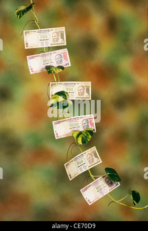 Business concept: growing money in the flowerpots on table Stock Photo ...