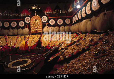 Trichurpooram Pooram festival, spectacular display of elephants ...