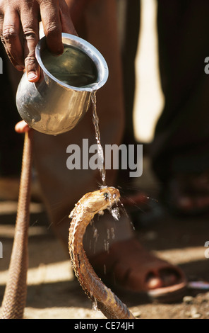Nag Panchami Festival At Battis Shirala Village:- Shirala Village is in ...
