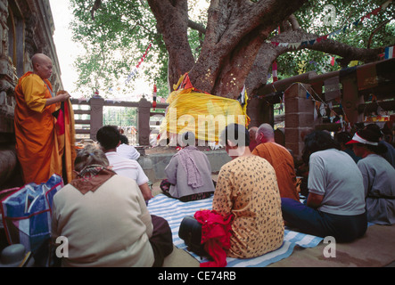 People praying under the bodhi tree where the Buddha reached ...