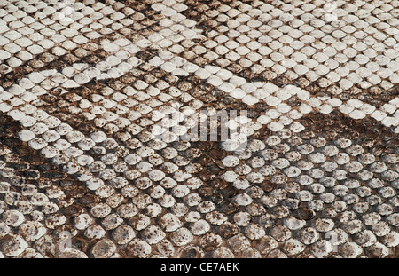 Detail of a real skin of a snake with scales pattern Stock Photo - Alamy