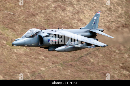 raf harrier low flying in the mach loop Stock Photo - Alamy