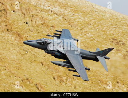 raf harrier low flying in the mach loop Stock Photo - Alamy