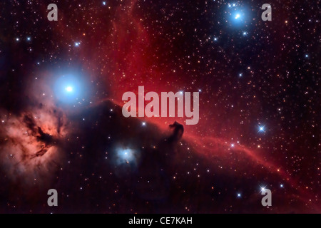Horsehead and flaming tree nebula, in the constellation of Orion, Milky ...