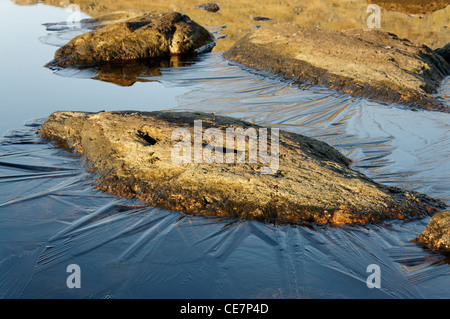 Ice forming on rocks Stock Photo - Alamy
