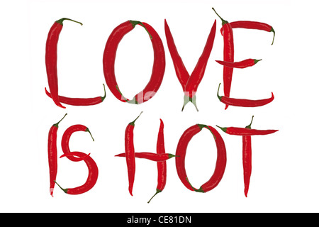 The word love from red letters hanging on the big tree in the summer ...