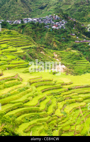 remote villages surrounds by rice terraces, philippines Stock Photo - Alamy