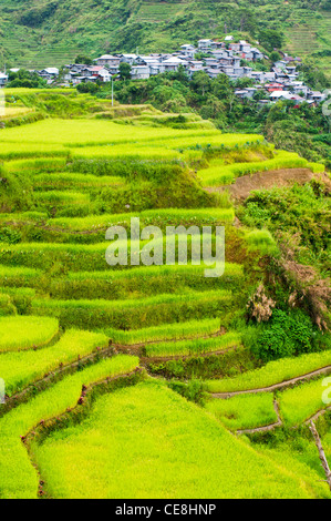 remote villages surrounds by rice terraces, philippines Stock Photo - Alamy