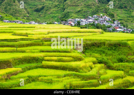 remote villages surrounds by rice terraces, philippines Stock Photo - Alamy
