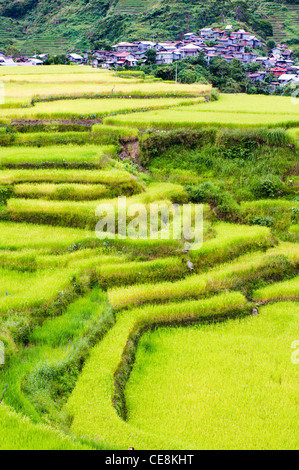 remote villages surrounds by rice terraces, philippines Stock Photo - Alamy