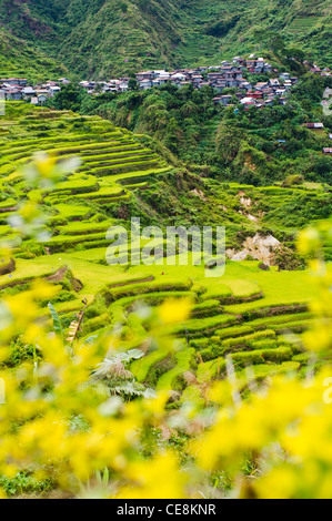 remote villages surrounds by rice terraces, philippines Stock Photo - Alamy