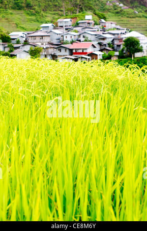 remote villages surrounds by rice terraces, philippines Stock Photo - Alamy