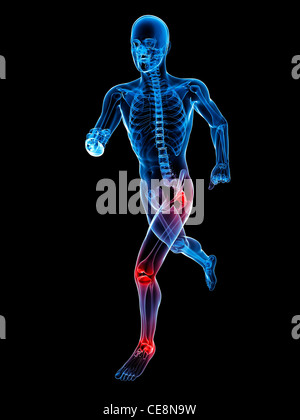 Human knees, computer artwork Stock Photo - Alamy