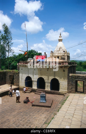 Naga panchami snake festival indian woman praying to Nag cobra snake ...