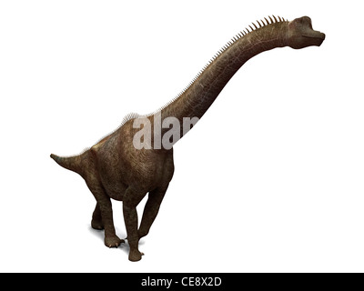 Brachiosaurus dinosaur computer artwork tallest known dinosaur standing ...