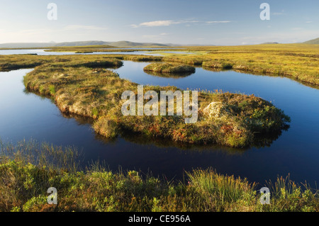 Flow Country or Peatlands at Forsinard, Sutherland, Scotland Stock ...