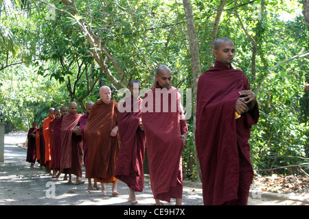 Buddhist Monks walk in a precession at dawn taking alms, Luong Probang ...