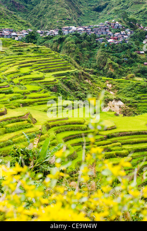 remote villages surrounds by rice terraces, philippines Stock Photo - Alamy