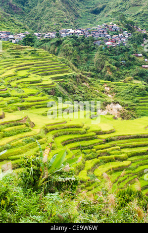 remote villages surrounds by rice terraces, philippines Stock Photo - Alamy