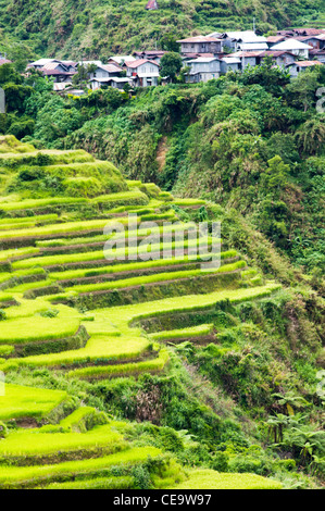 remote villages surrounds by rice terraces, philippines Stock Photo - Alamy