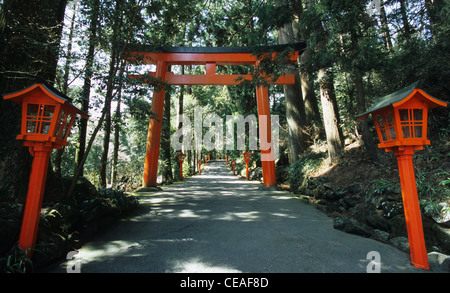 Red torii gate to Moto Hakone shrine, Hakone, Japan Stock Photo - Alamy