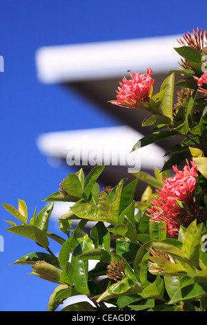 The iconic Cairns Convention Centre is host to international ...