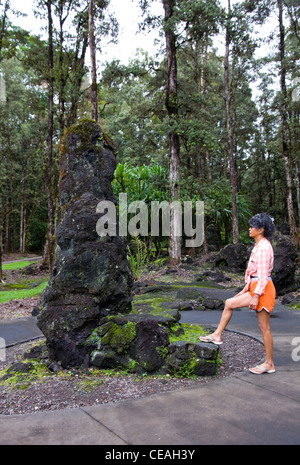 Lava molds of the tree trunks that were formed when a lava flow swept ...