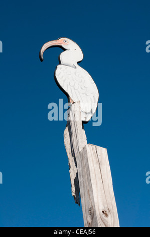 Pelican at Cedar Key, Florida USA Stock Photo - Alamy