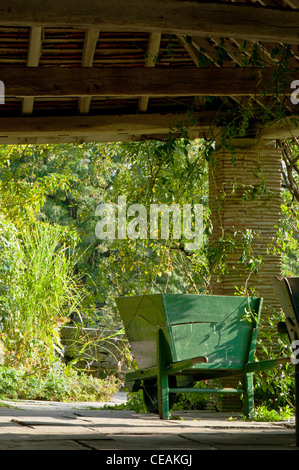 Old stone paving stone overgrown with green moss and strewn with yellow ...