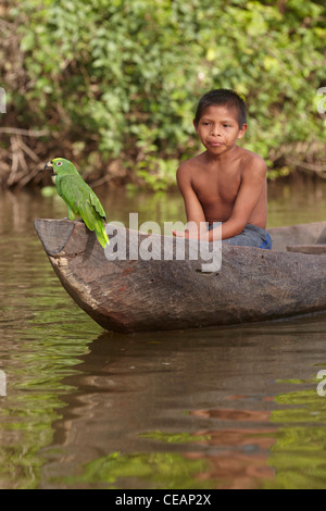 Amerindian boy with parrot IN a dugout canoe on the Rewa River, Rewa ...