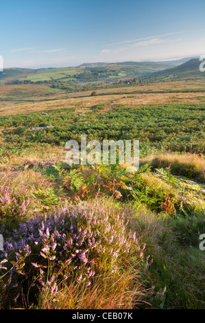 View from Hound Tor towards Cosdon Hill. Dartmoor National Park. Devon ...