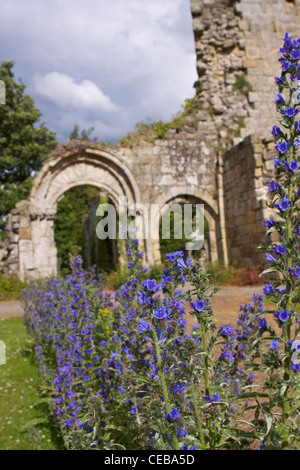 The stone ruins of Jervaulx Abbey, founded in 1156 by Cistercian monks ...