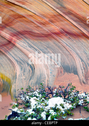 Sandtone formation and snow in North Coyote Buttes, The Wave. Paria ...