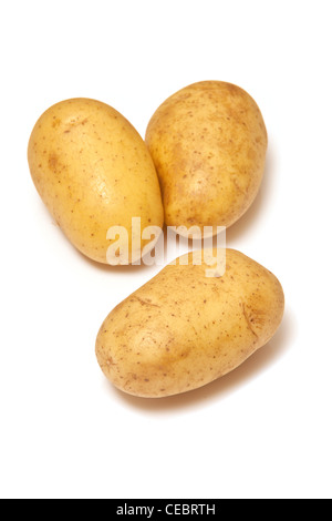 Vivaldi baking potatoes isolated on a white studio background Stock ...