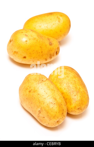 Vivaldi baking potatoes isolated on a white studio background Stock ...