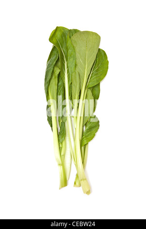 Choi Sum leaves isolated on a white studio background Stock Photo - Alamy