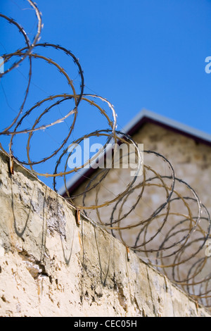Barbed Wire Fence in the Australian Outback Stock Photo - Alamy