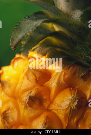 Extreme Close up Pineapple Stock Photo - Alamy
